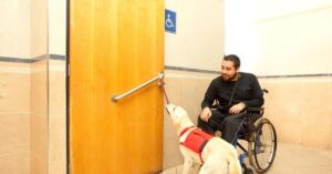 Understanding Egress Doors for a effective escape planning